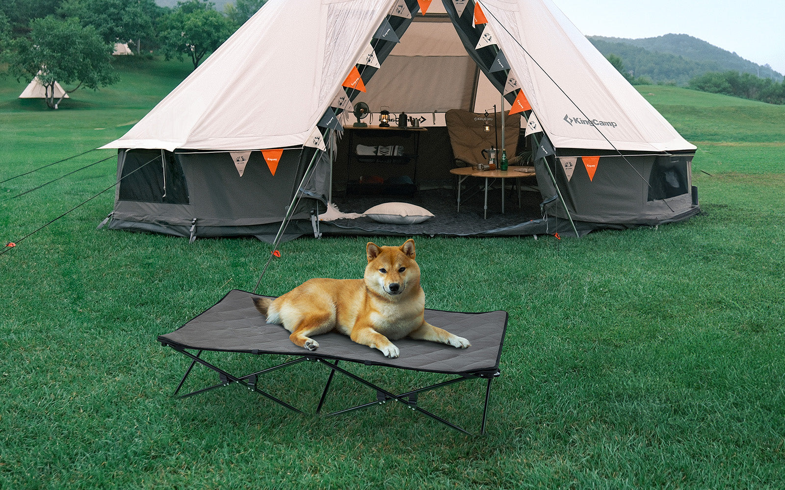 Explore Dog Camping Essentials at BRoadout - Gear Up for Outdoor ...